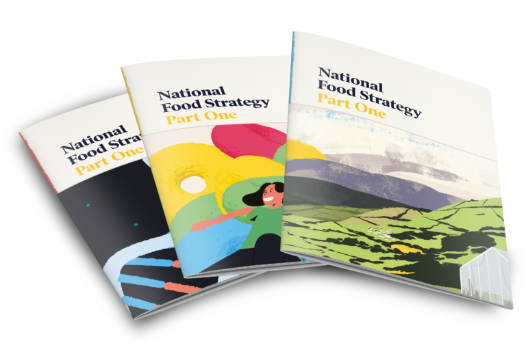 The National Food Strategy - Part 1 | School Wellbeing